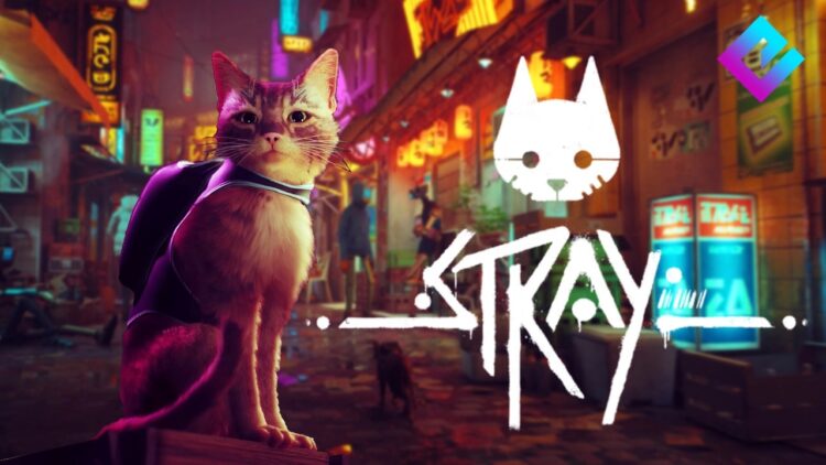 Stray Is Inspired by a Stray Cat Adopted by the Studio’s Co-founders ...