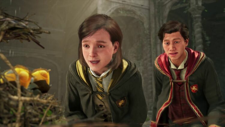 Hogwarts Legacy VR Version? The Mod Is Already in Development – Watch a ...