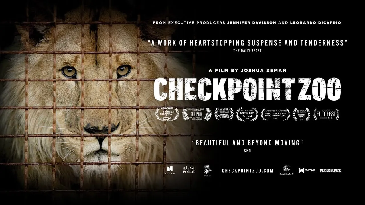Checkpoint Zoo Review: Witness to an Unreasonable Devotion - Gazettely