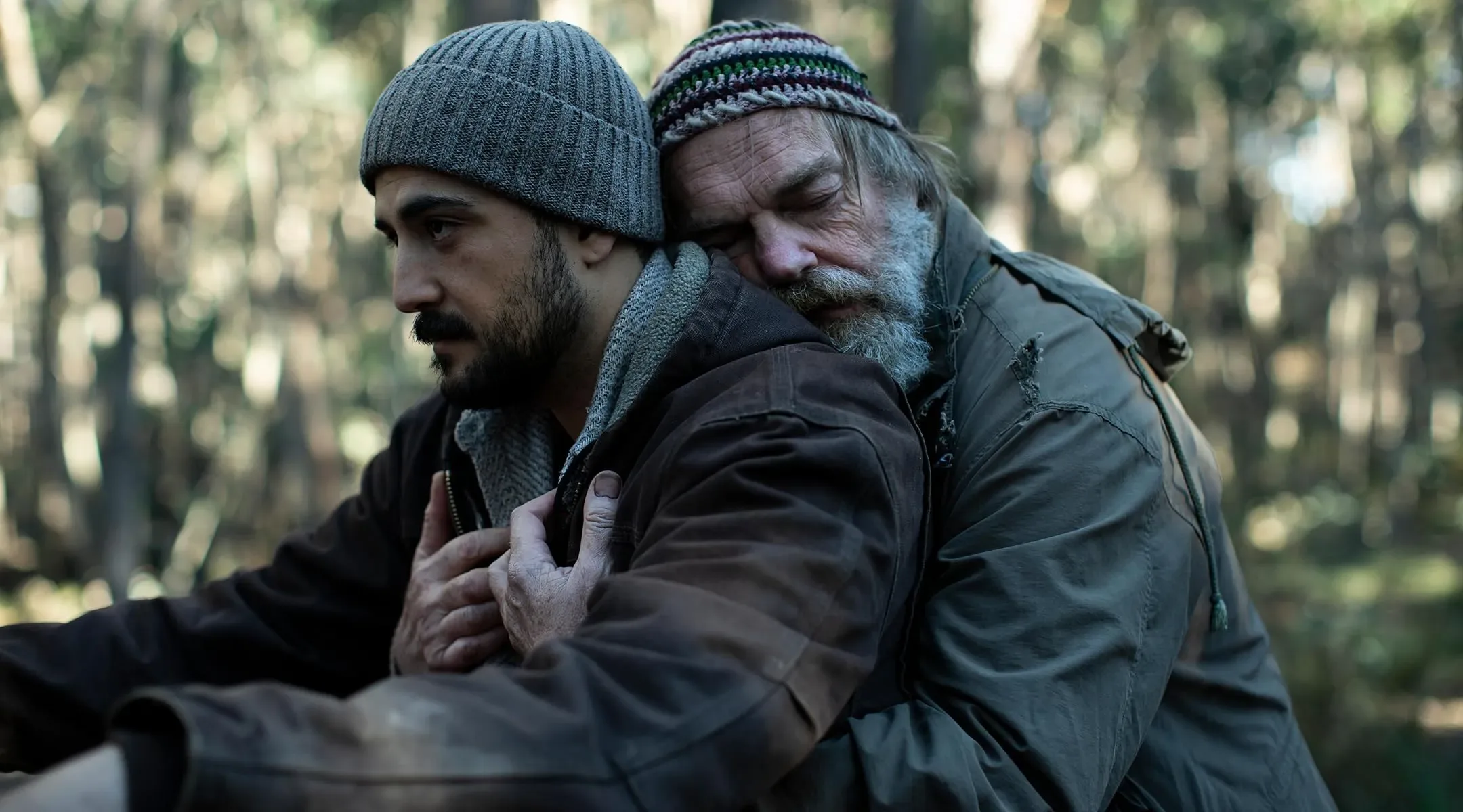 The Rooster Review: Hugo Weaving's Tour de Force of Grief - Gazettely