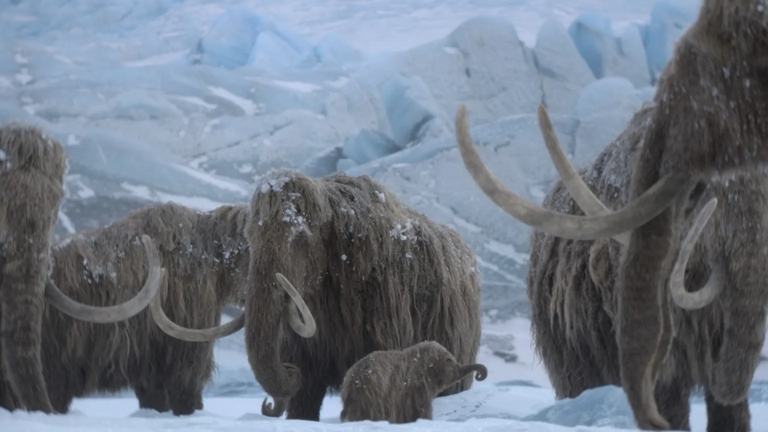 Prehistoric Planet: Ice Age Review – Framing the Past, Reflecting the Present - Gazettely